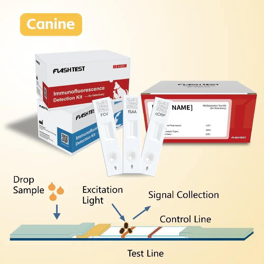 Canine distemper antigen (CDV Ag) Test Kit: FLASHTEST